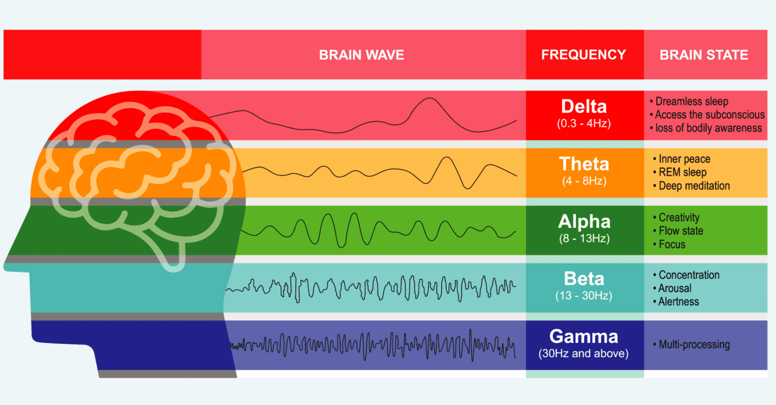 Neurofeedback vs Biofeedback | Brain Training P.954-900-5072